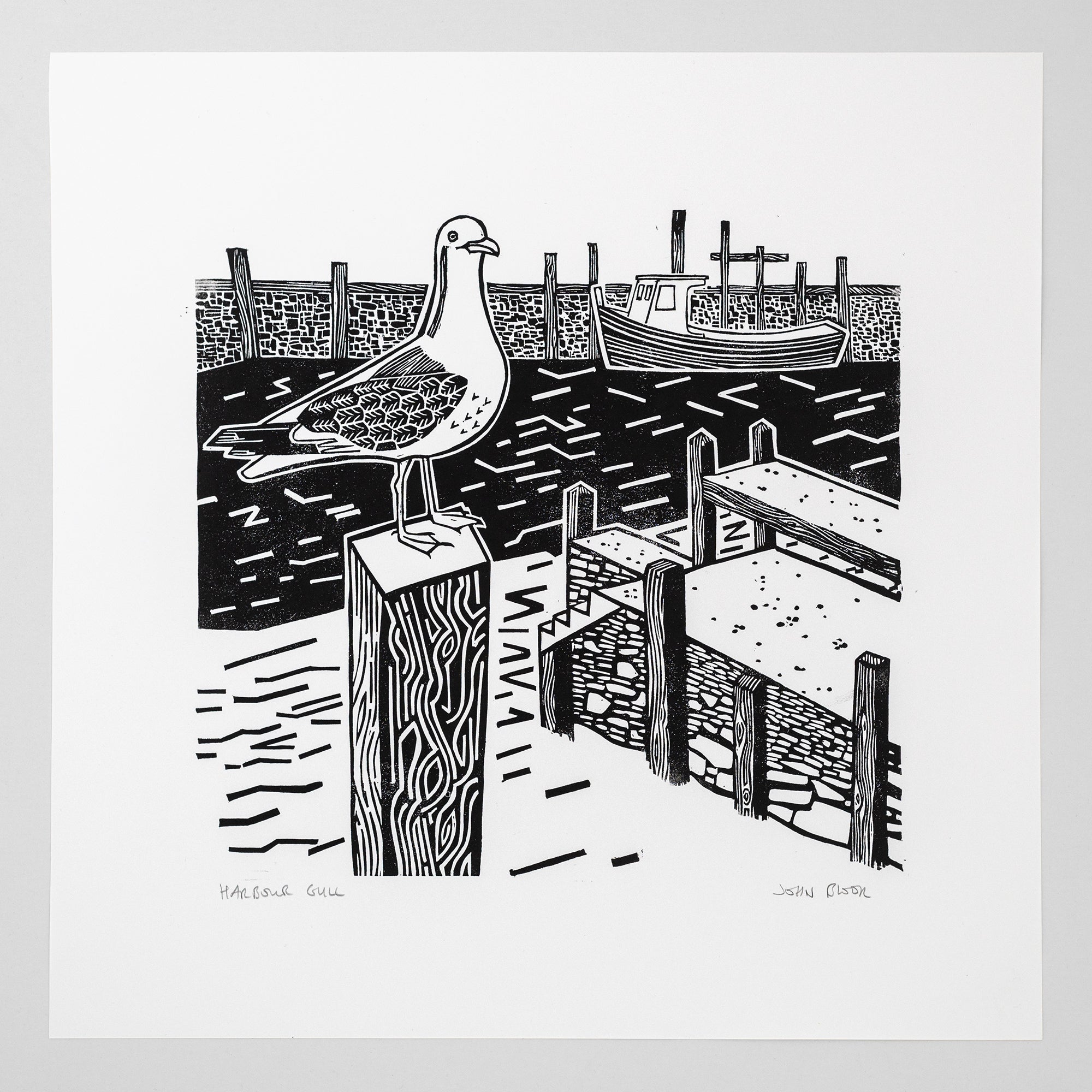 Harbour Gull linocut print – John Bloor Printmaker